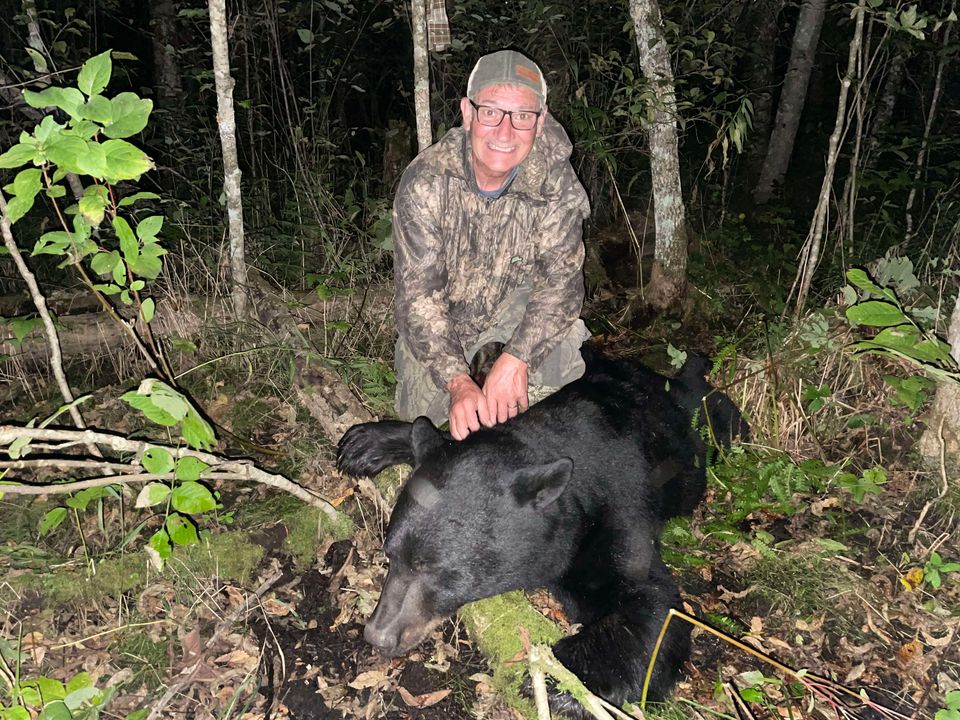 Gallery - Honey Hole Bear Bait